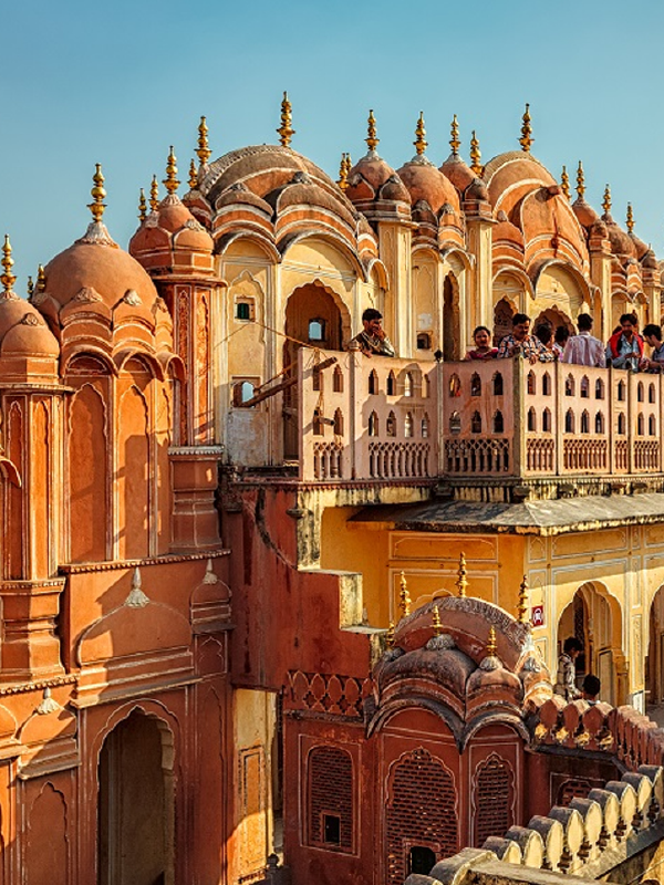 Tour and Travels/ Domestic Tours